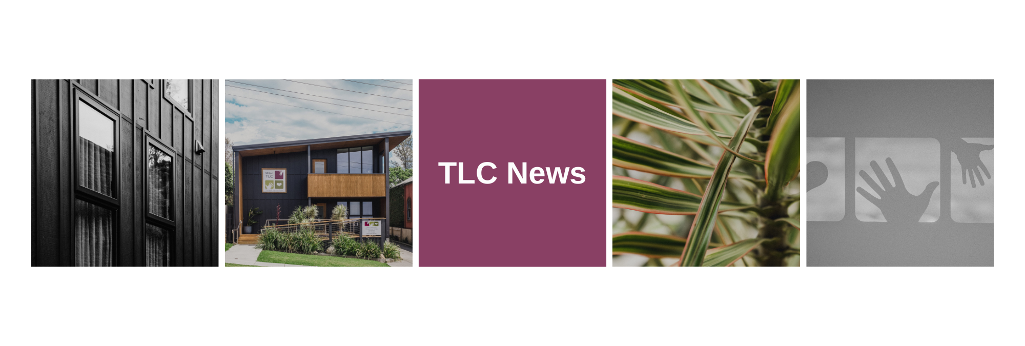 TLC News